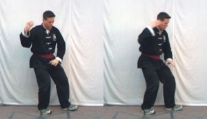 Brush Knee - Clear Tai Chi